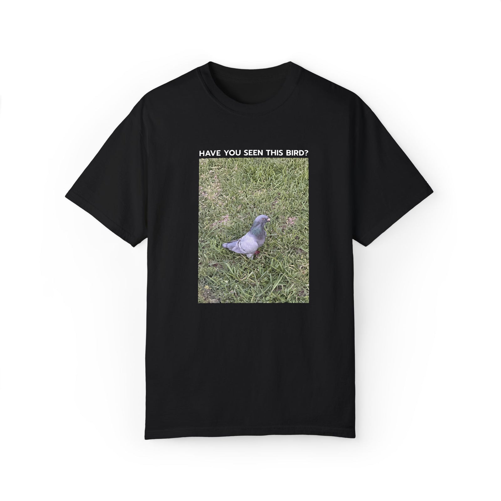 Products – Regulation Podcast